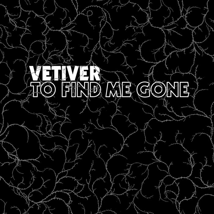 Vetiver: To Find Me Gone - Real Groovy