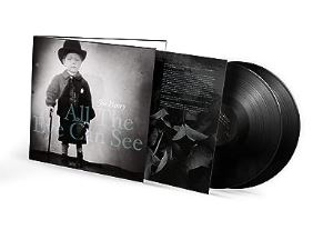 Joe Henry: All The Eye Can See (Vinyl) - Real Groovy