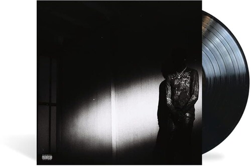 Destroy Lonely: No Stylist (Vinyl) - Real Groovy