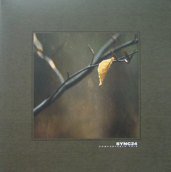 : Comfortable Void - 2019 Reissue (2lp) - Real Groovy