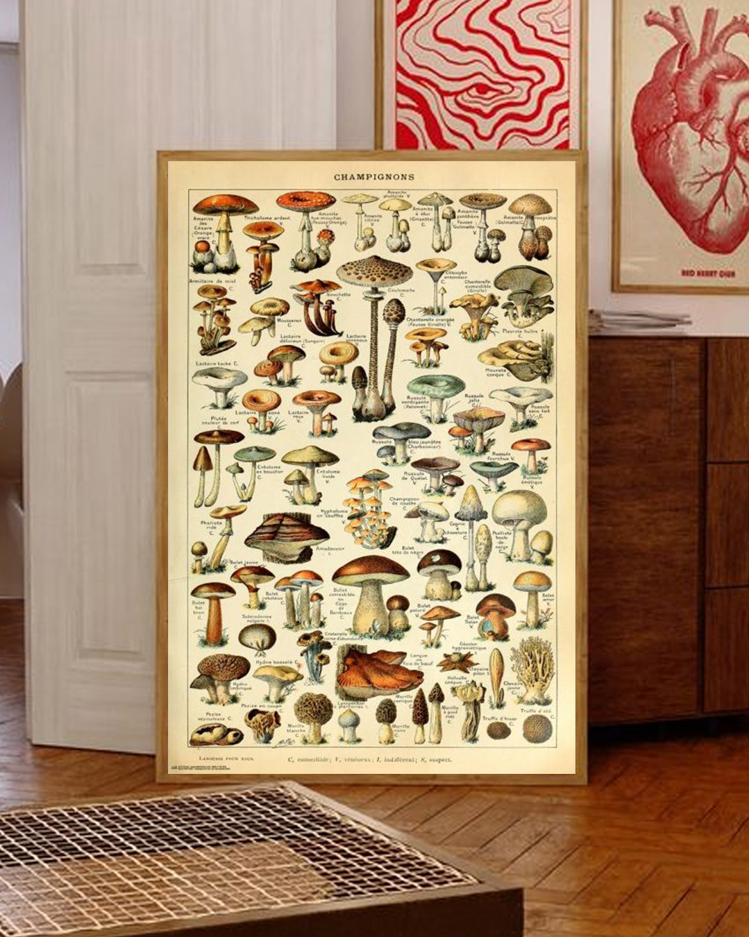 Shroom Id Chart Maxi Poster Mushrooms Champignon 284 - Real Groovy