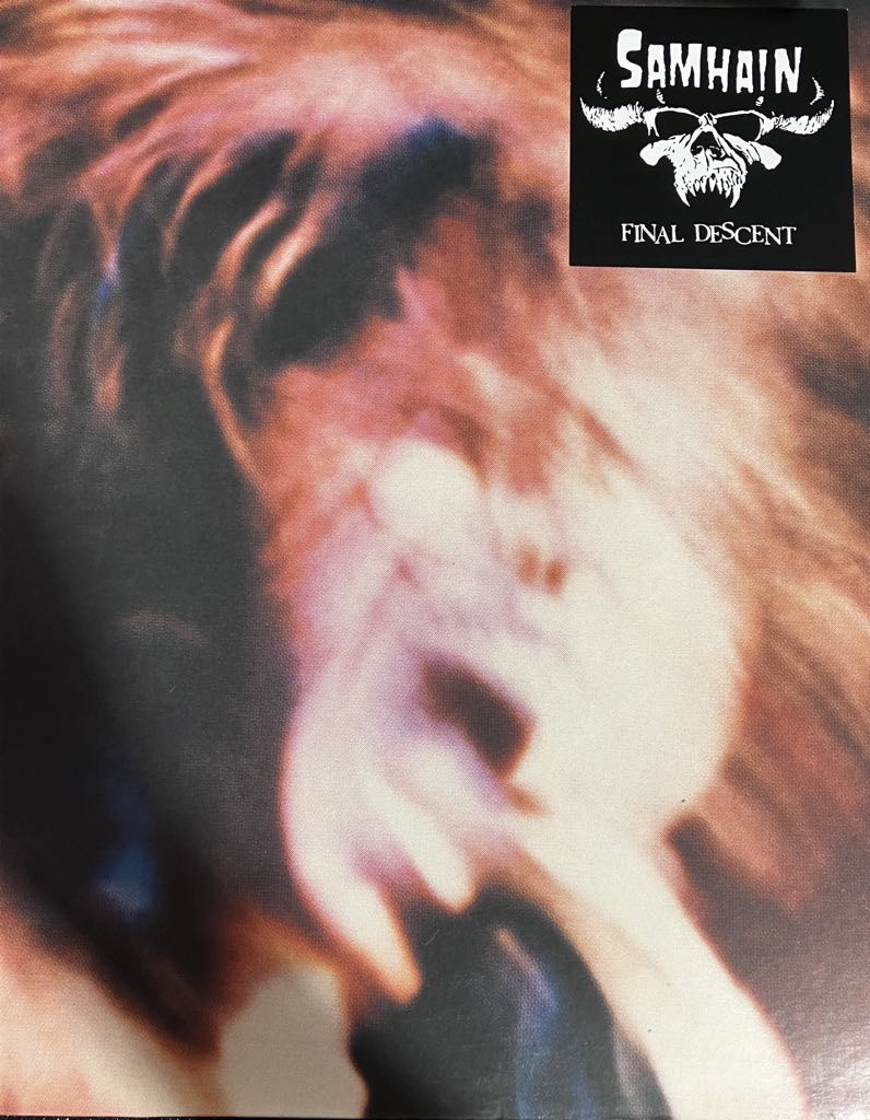 : Final Descent (Unofficial Edition) (Vinyl) - Real Groovy