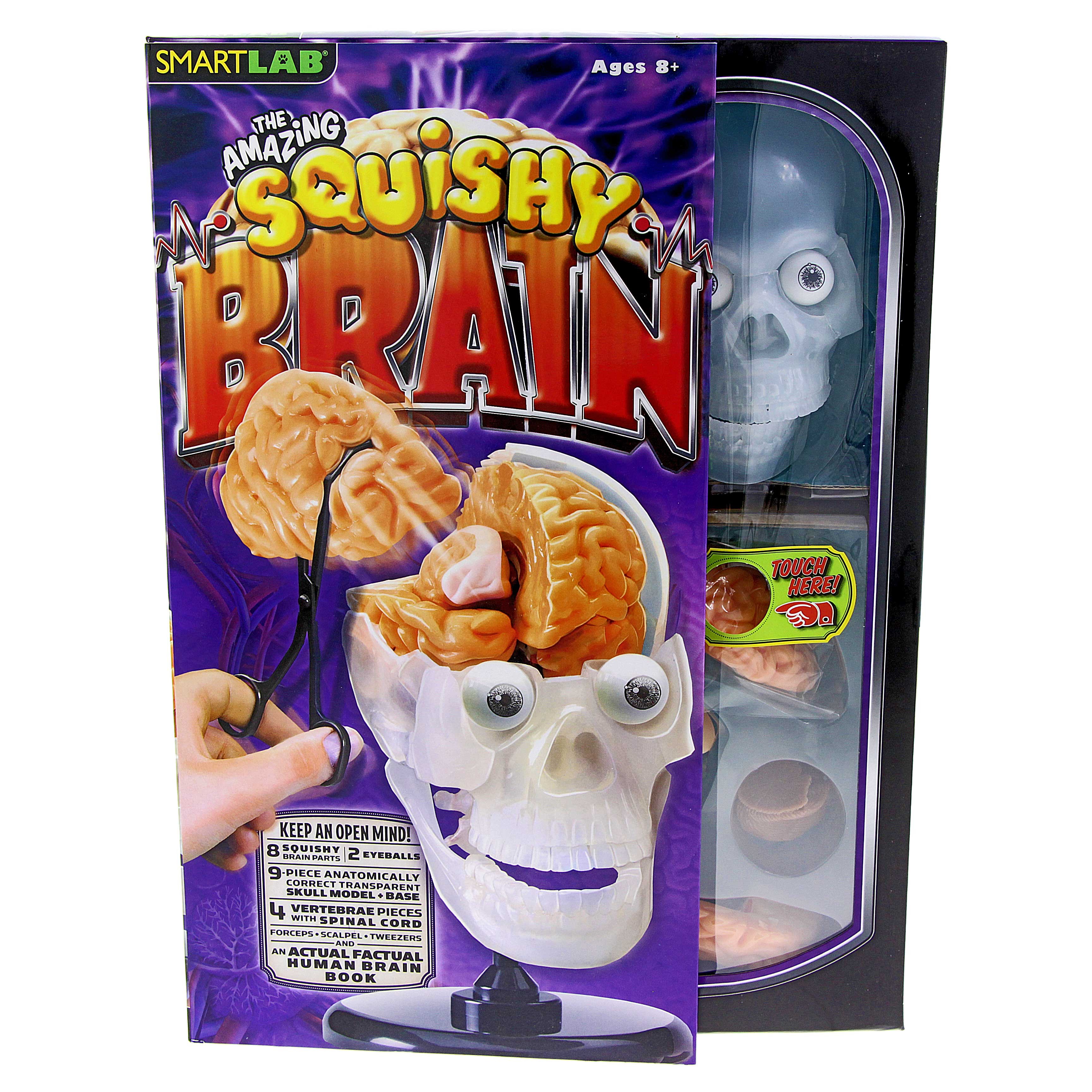 Squishy Brain Smart Labs Science Kit - Real Groovy