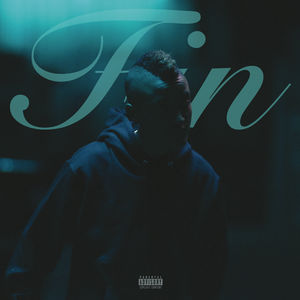 : Fin (Vinyl) - Real Groovy